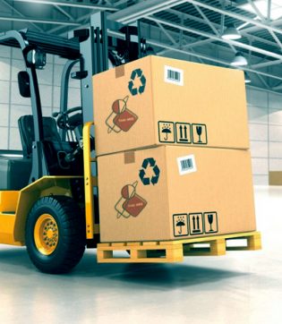 About us Foot – THAIMEE